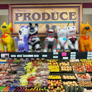 Time Traveling at John Brooks Supermarket - The Bite