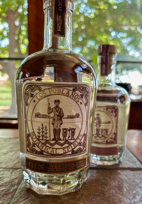 Ginesis: A Tale of Two Gins - The Bite